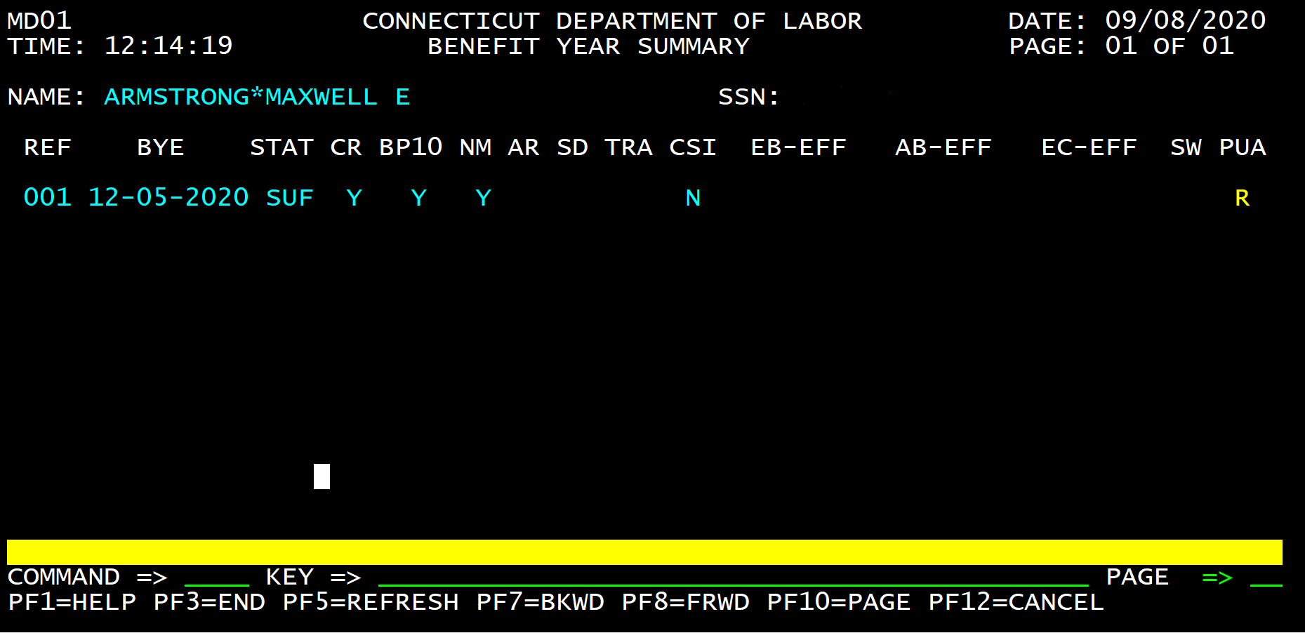 IBM Benefit Year Summary MD01 Procedure Guide